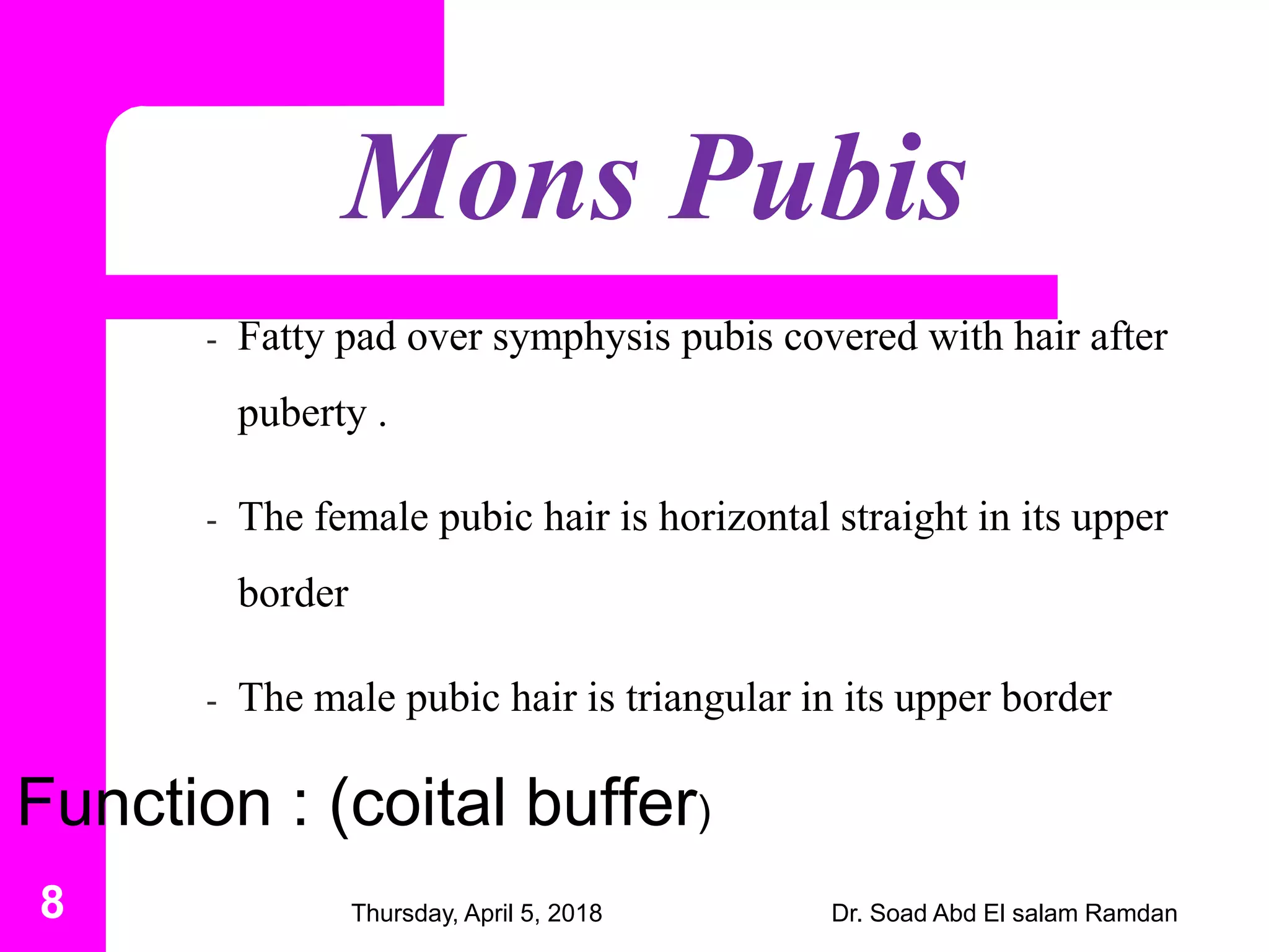 Anatomy of the female reproductive system | PDF