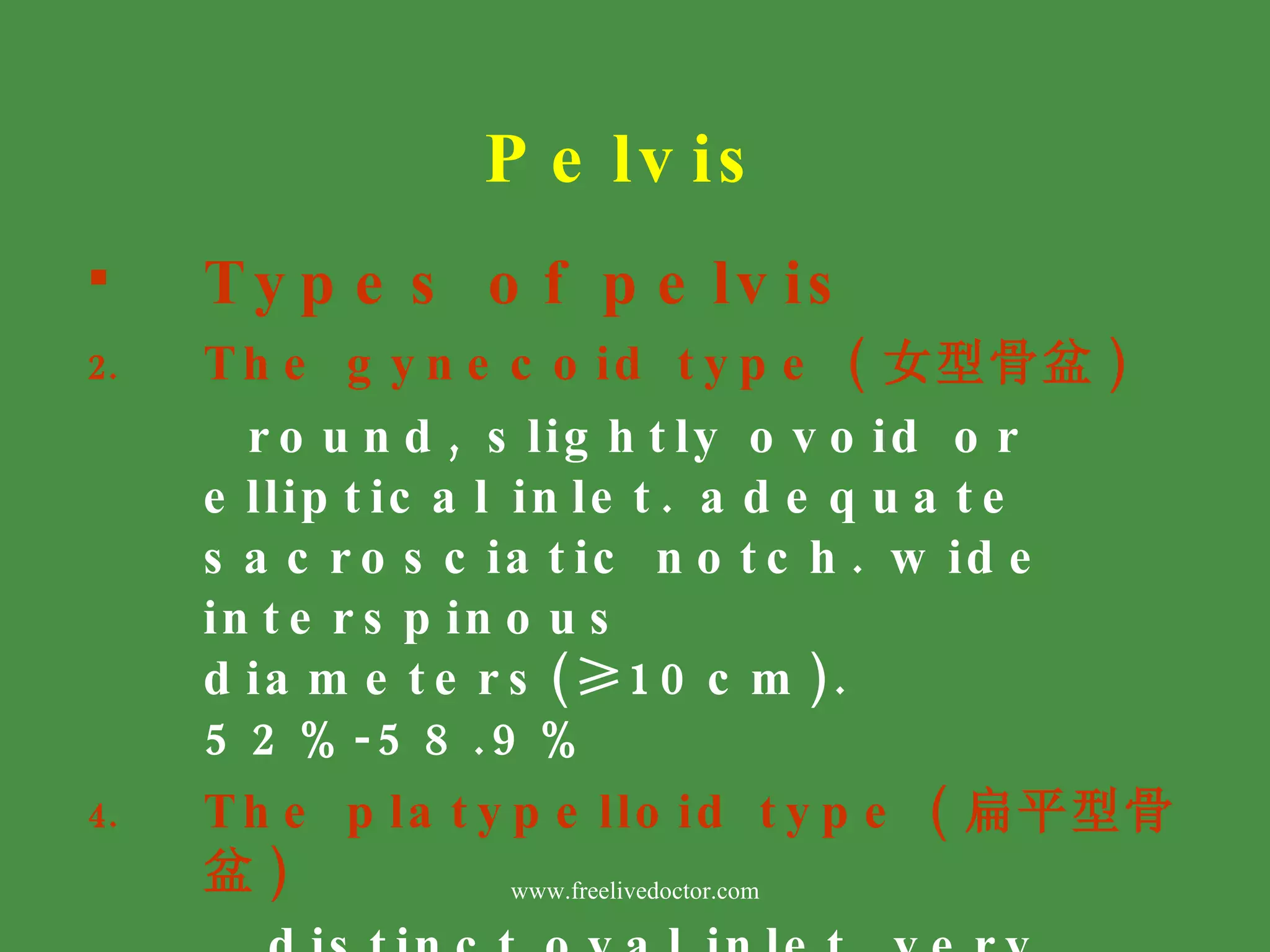 Anatomy of the female reproductive system | PPT