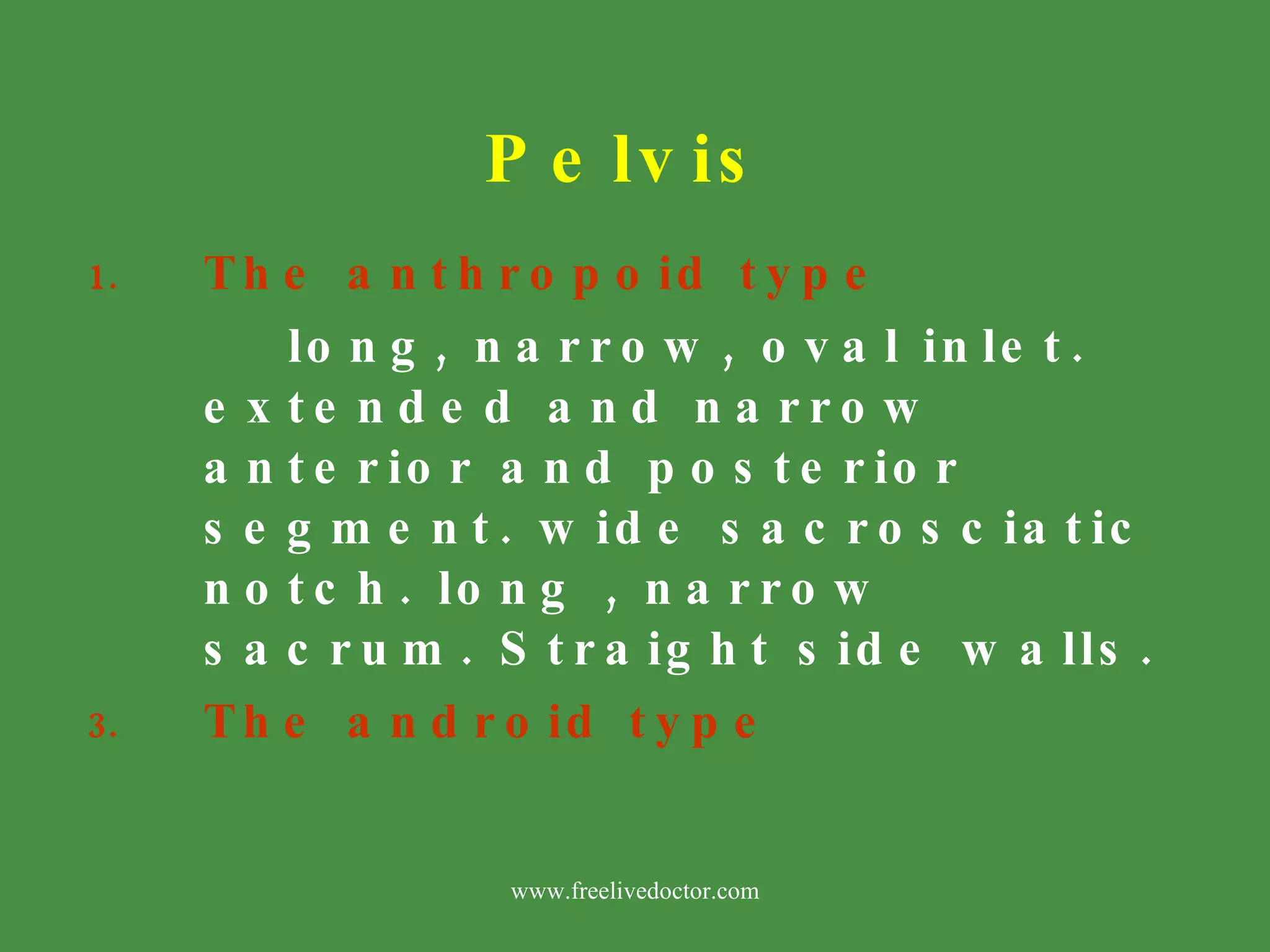 Anatomy of the female reproductive system | PPT