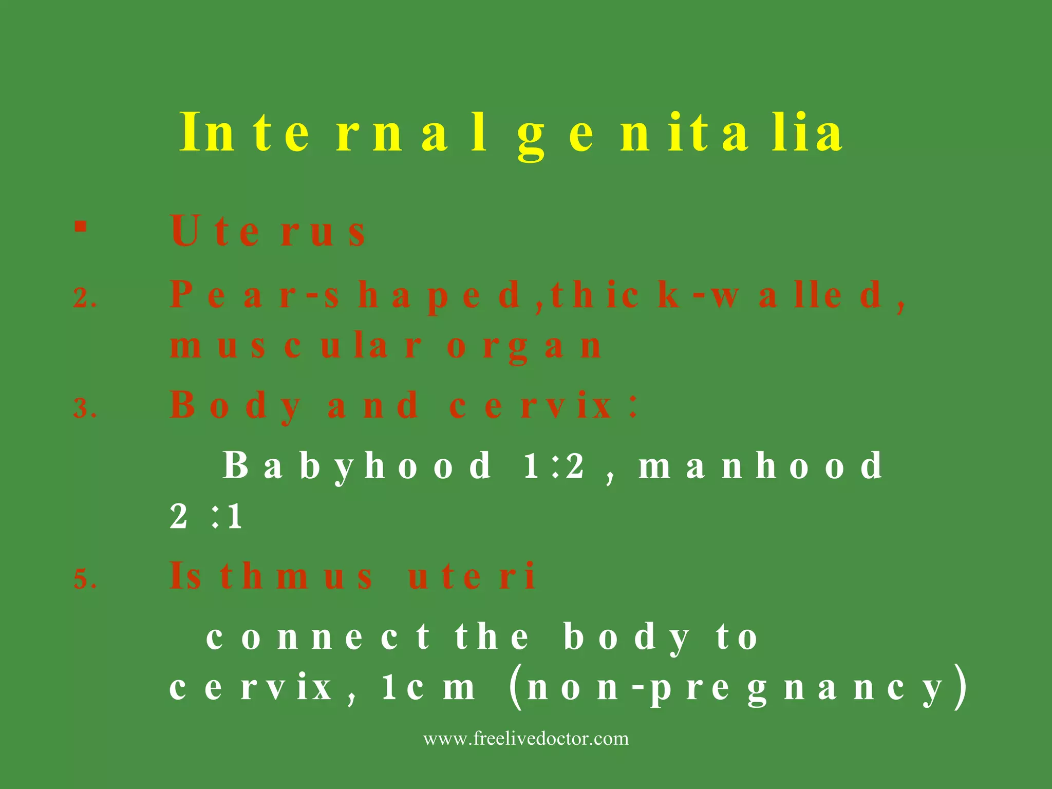Anatomy of the female reproductive system | PPT