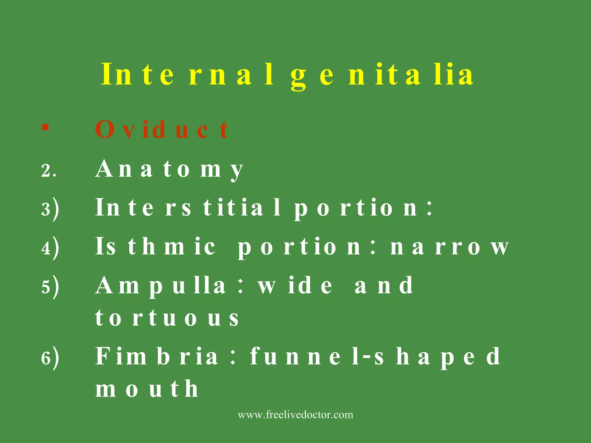 Anatomy of the female reproductive system | PPT