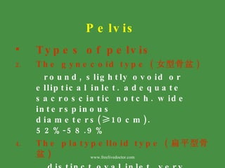 Anatomy of the female reproductive system | PPT