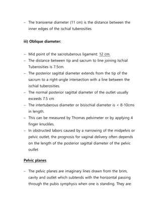 ANATOMY OF THE FEMALE REPRODUCTIVE SYSTEM.doc