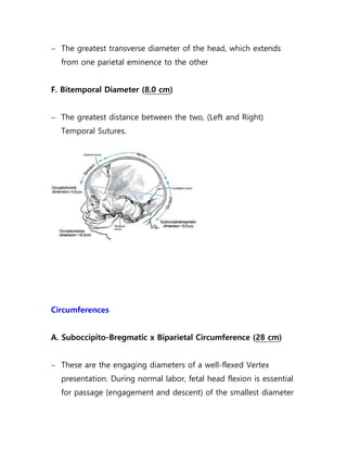 ANATOMY OF THE FEMALE REPRODUCTIVE SYSTEM.doc