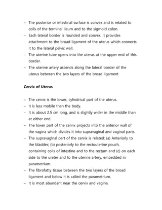 ANATOMY OF THE FEMALE REPRODUCTIVE SYSTEM.doc
