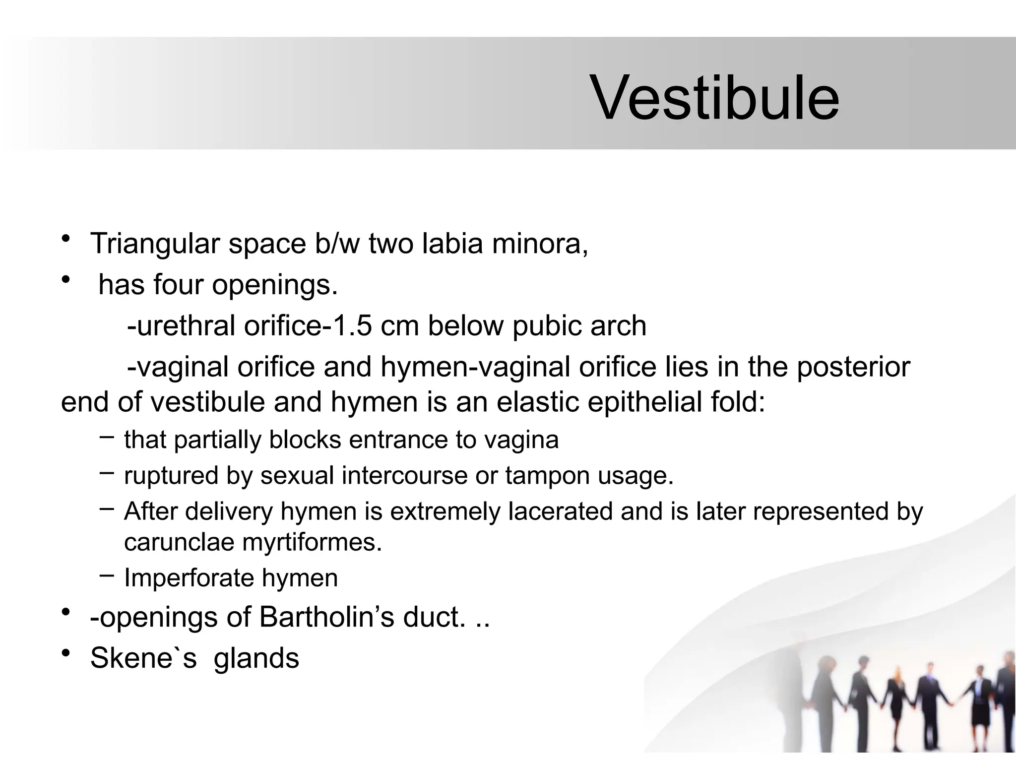 ANATOMY OF THE FEMALE REPRODUCTIVE SYSTEM. final2.pptx