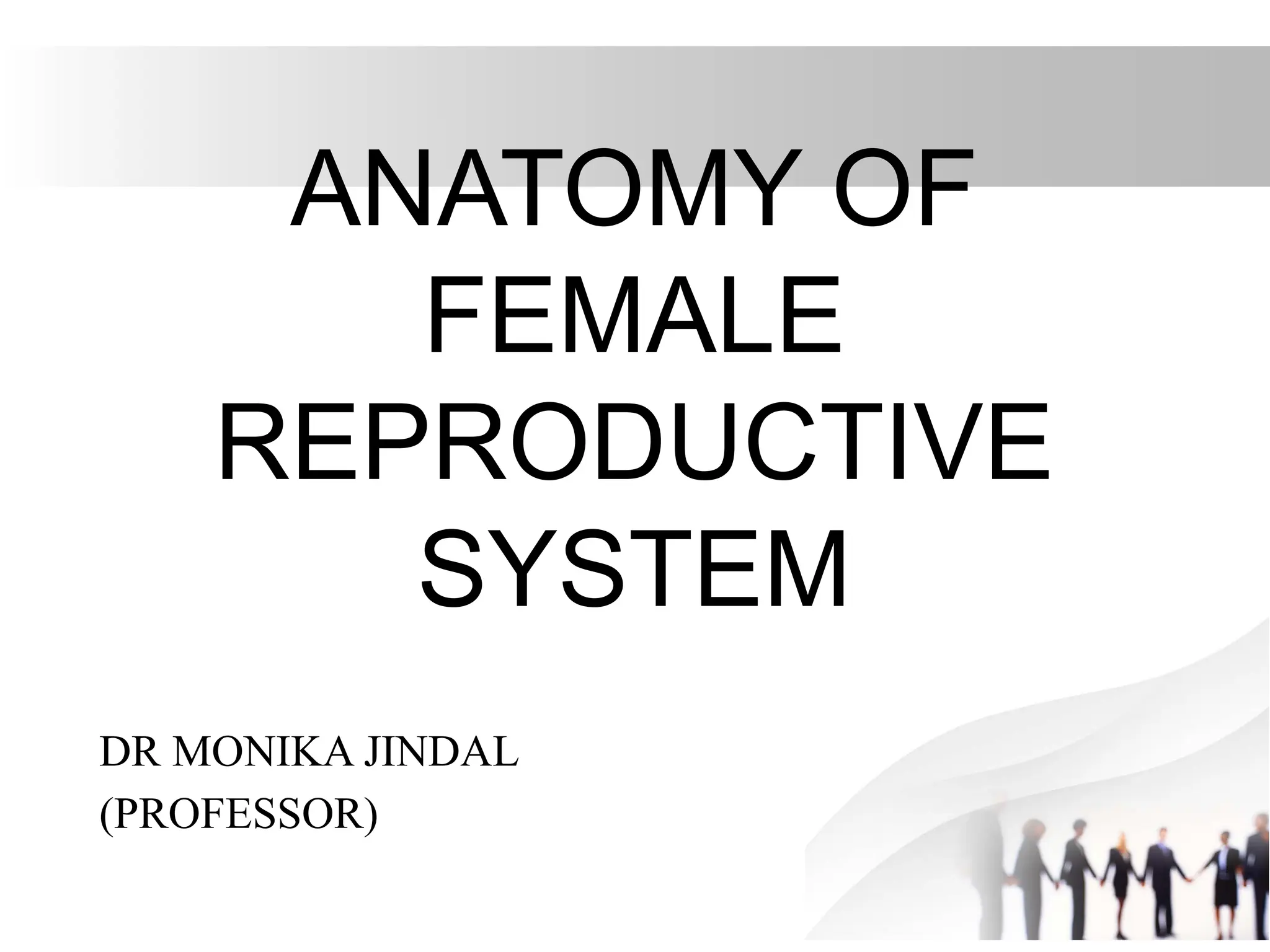 ANATOMY OF THE FEMALE REPRODUCTIVE SYSTEM. final2.pptx