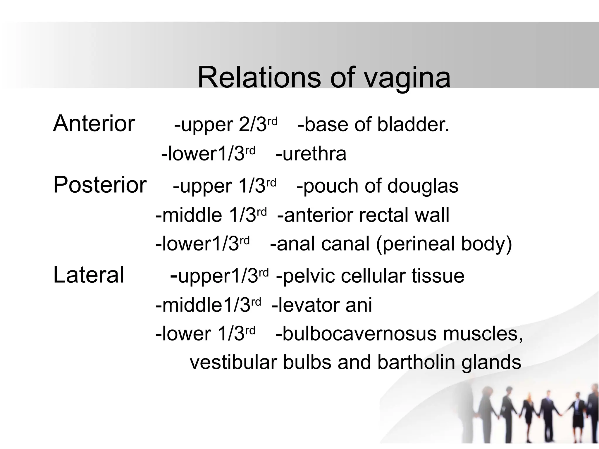 ANATOMY OF THE FEMALE REPRODUCTIVE SYSTEM. final2.pptx