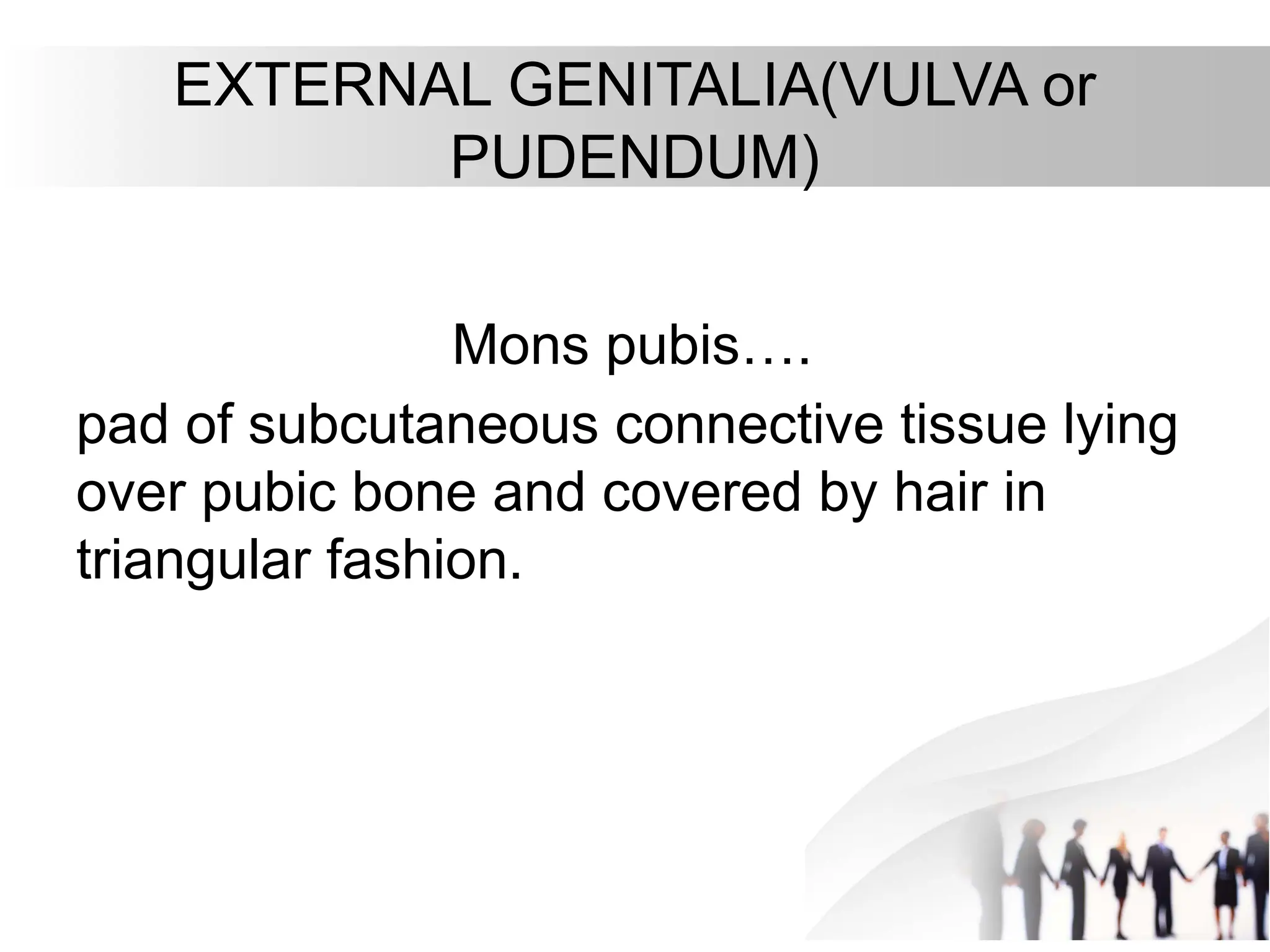 ANATOMY OF THE FEMALE REPRODUCTIVE SYSTEM. final2.pptx