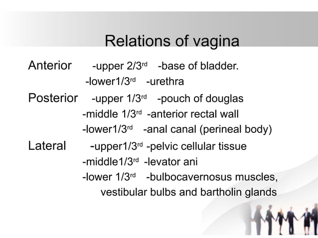 ANATOMY OF THE FEMALE REPRODUCTIVE SYSTEM. final2.pptx