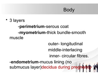 ANATOMY OF THE FEMALE REPRODUCTIVE SYSTEM. final2.pptx