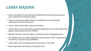 Comprehensive Anatomy of the Female Reproductive Tract: External and ...