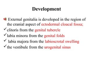 Anatomy of the Female Reproductive Tract 2012.pptx