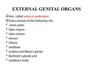 Anatomy of the Female Reproductive Tract 2012.pptx