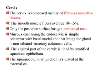 Anatomy of the Female Reproductive Tract 2012.pptx