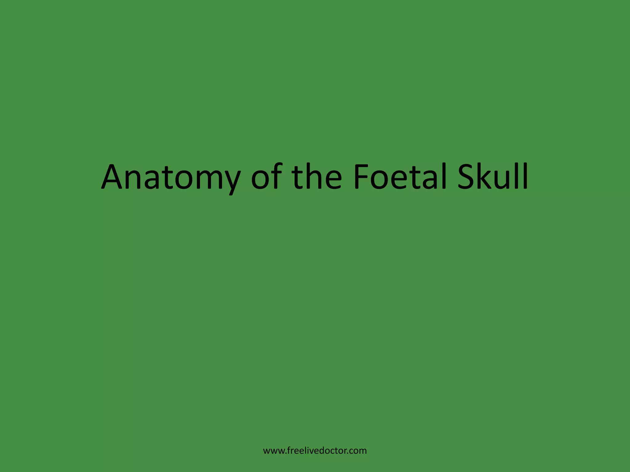 Anatomy of the foetal skull | PPTX