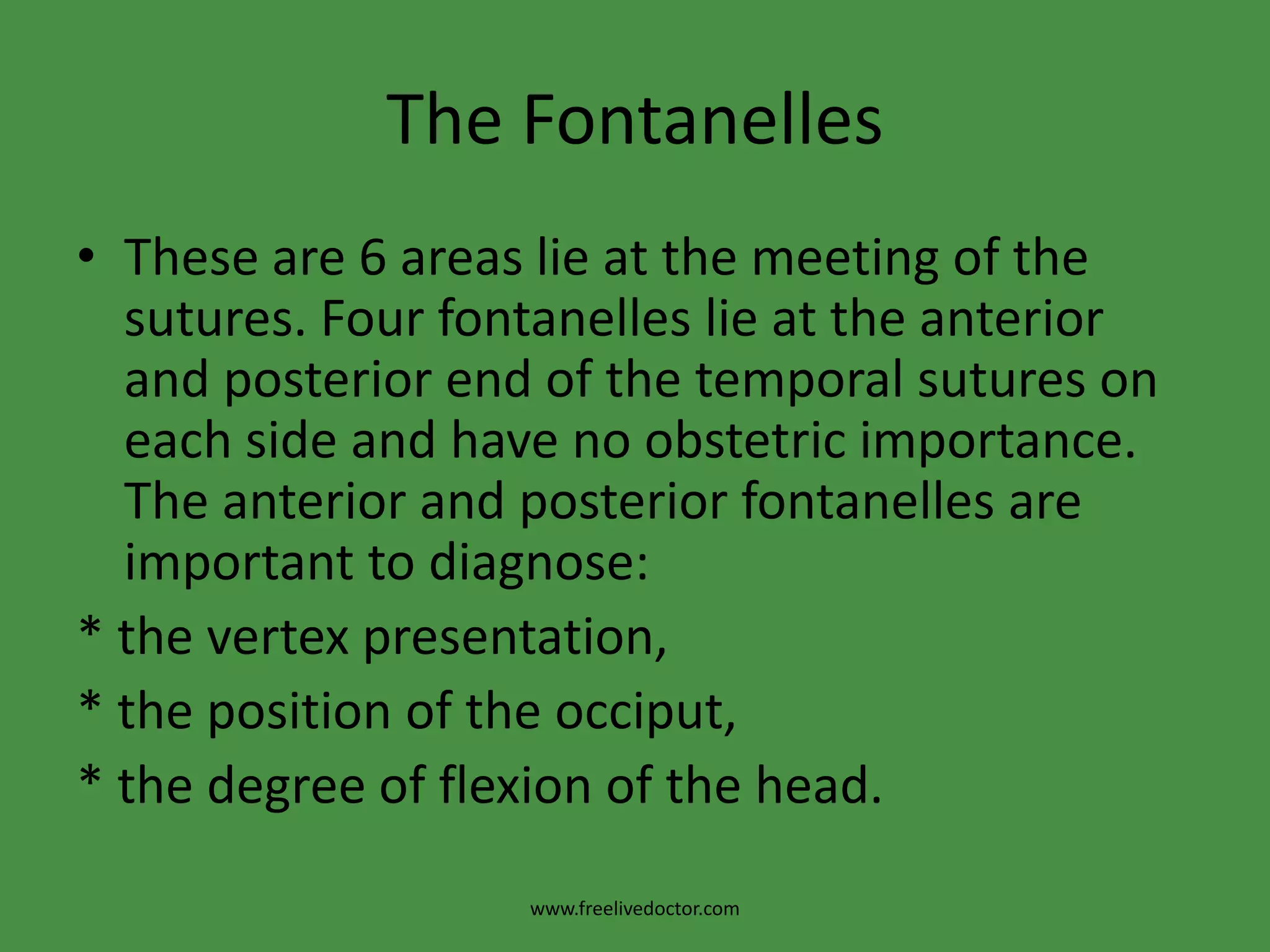 Anatomy of the foetal skull | PPTX