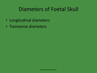 Anatomy of the foetal skull | PPTX
