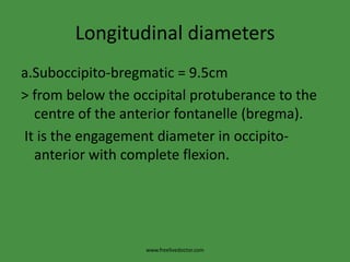 Anatomy of the foetal skull | PPTX