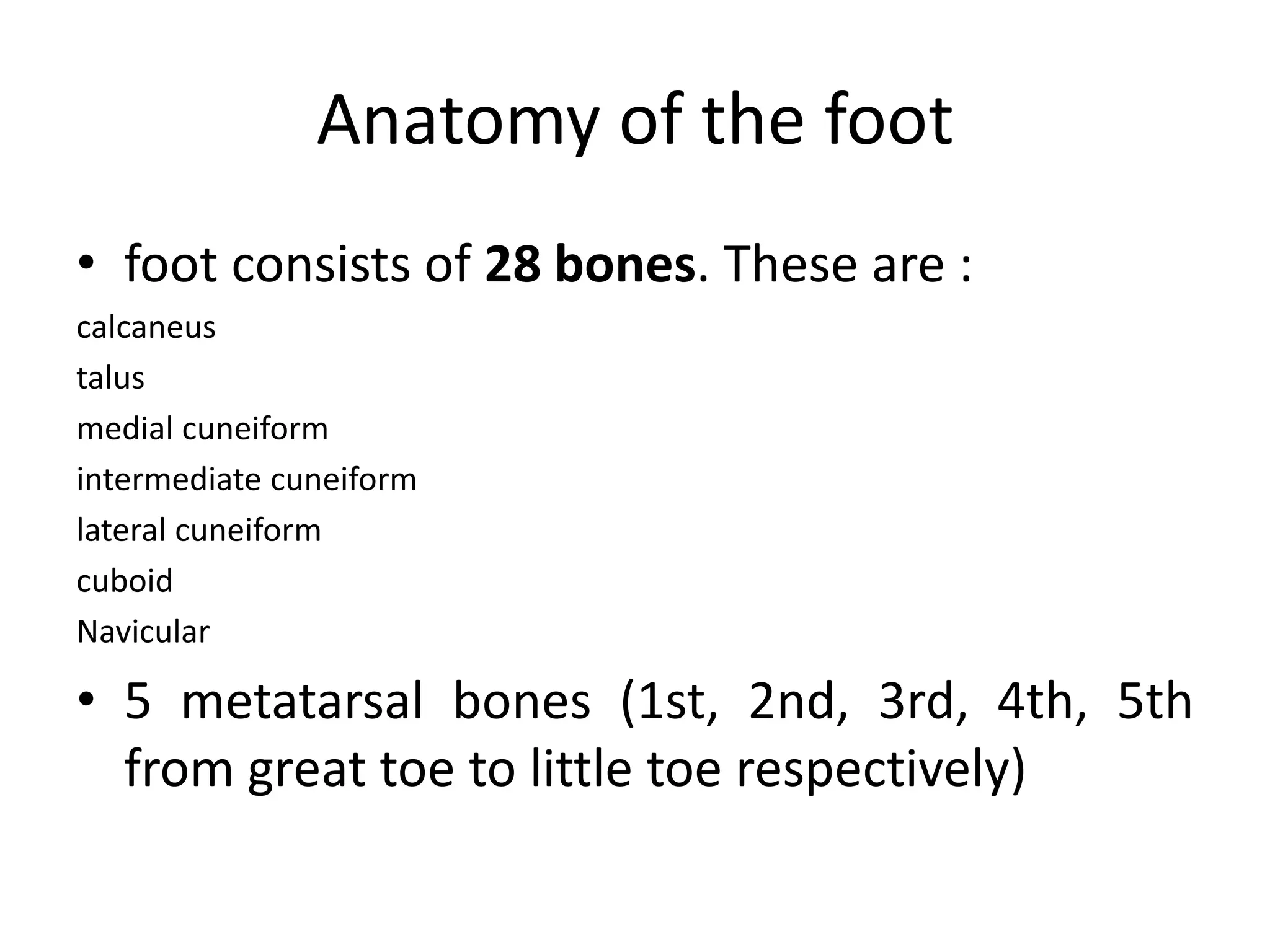 Anatomy of the foot | PPTX