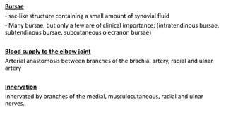 ANATOMY OF THE FOREARM a relevant insight | PDF