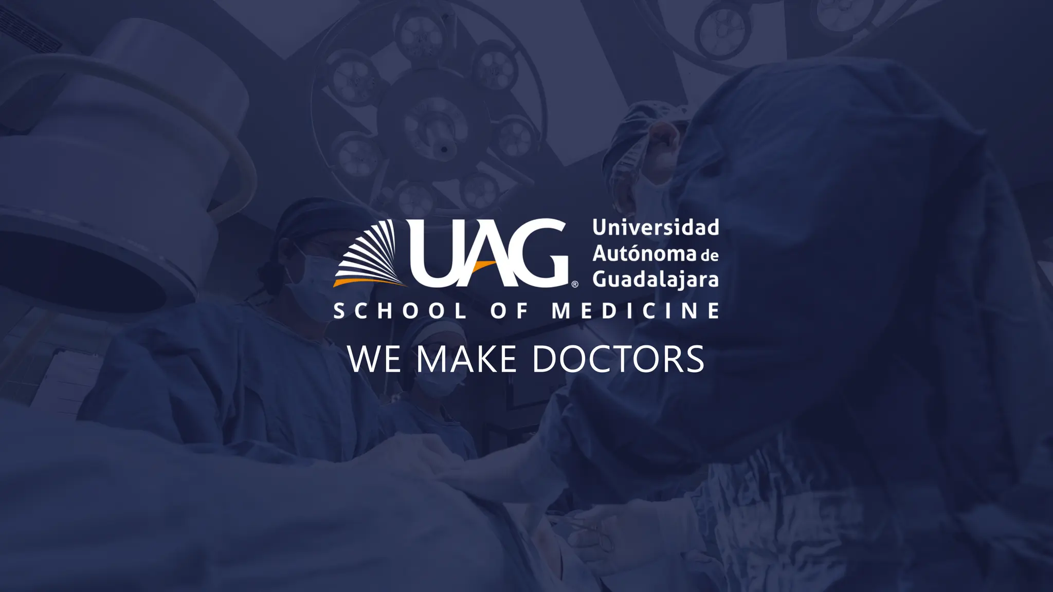 Anatomy of the GI Accesory Organs Fall 2024.pdf