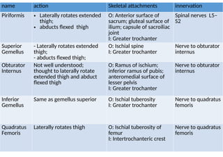 anatomy of the Gluteal region & back of the thigh | PPTX