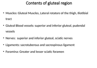 anatomy of the Gluteal region & back of the thigh | PPTX