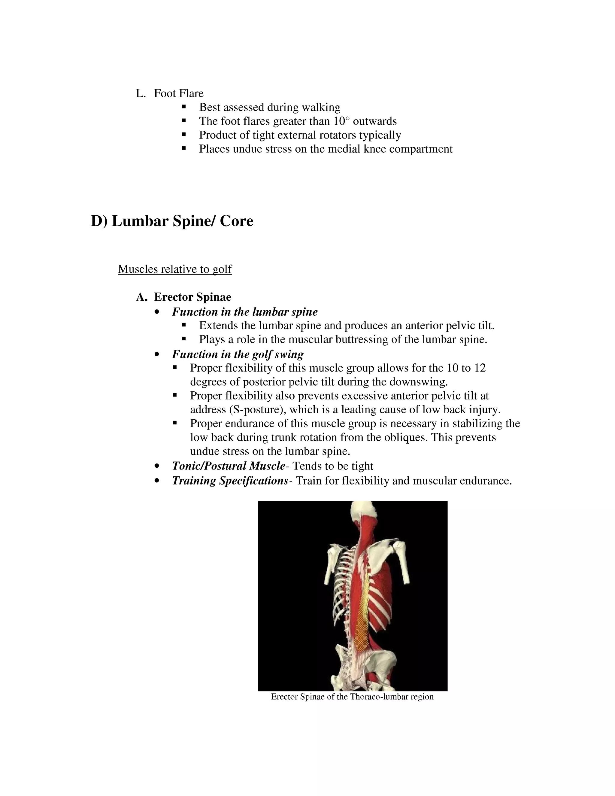 Anatomy of the Golf Swing for Trainers | PPTX