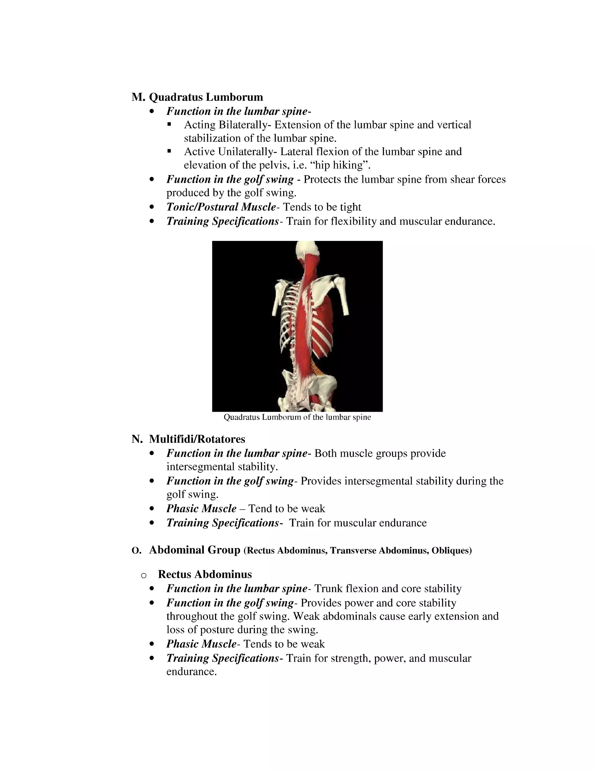Anatomy of the Golf Swing for Trainers | PPTX