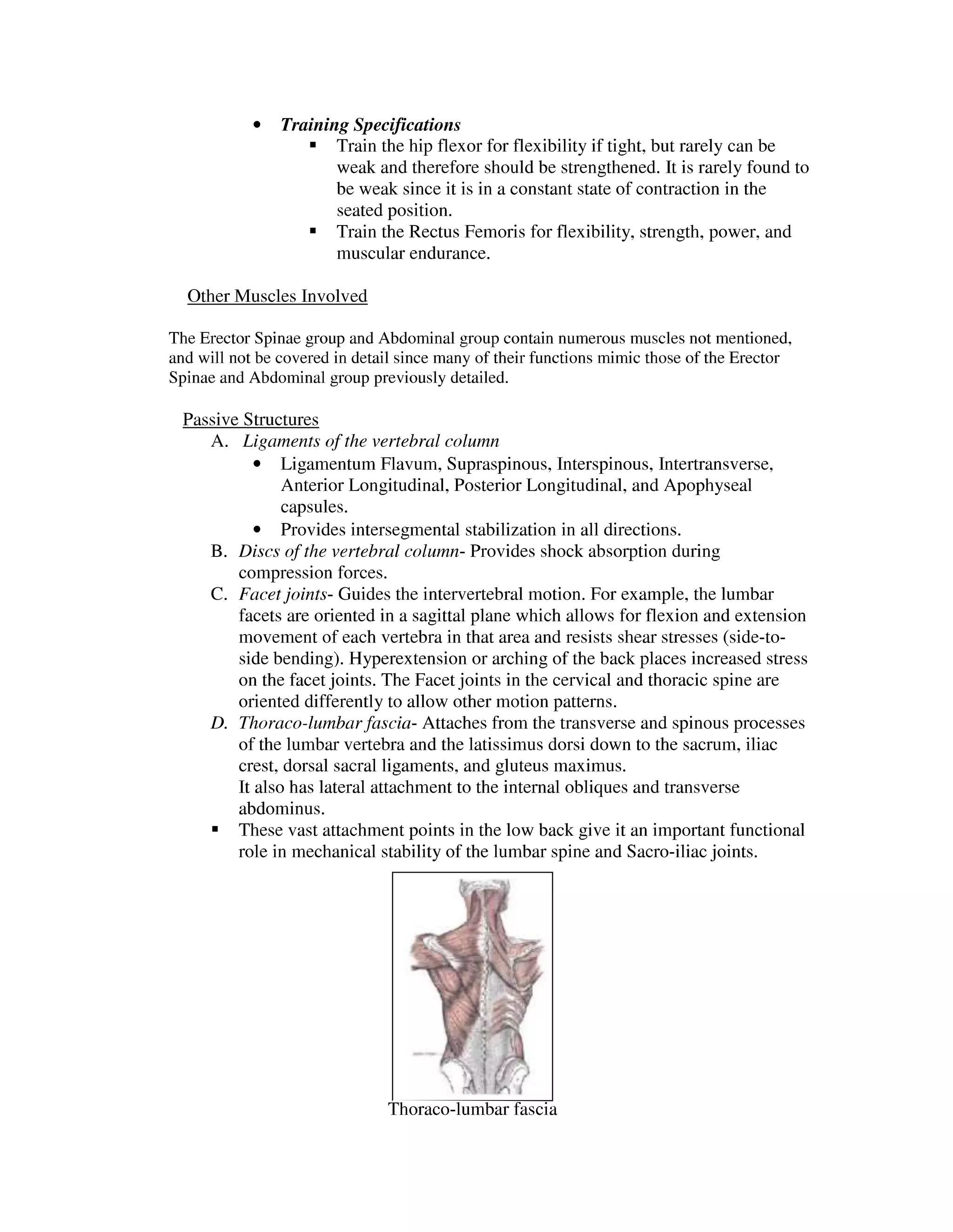Anatomy of the Golf Swing for Trainers | PPTX