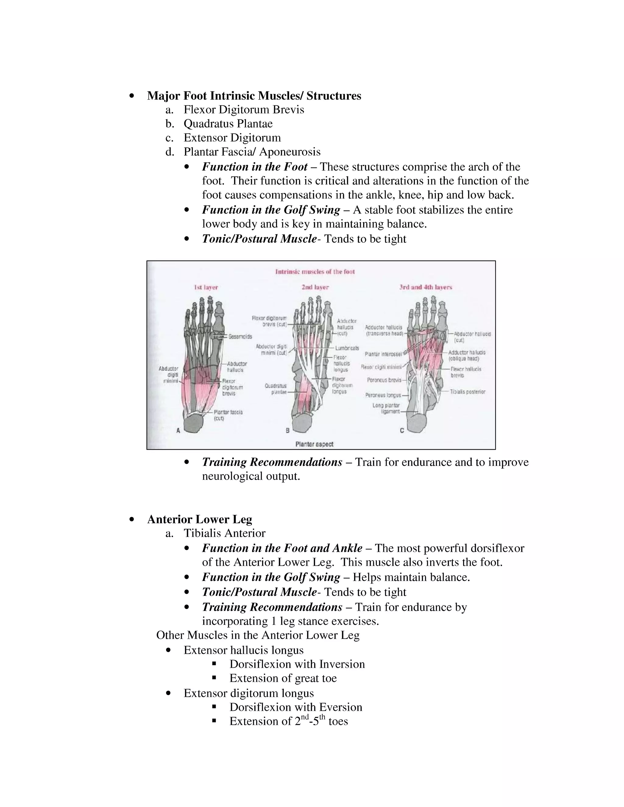 Anatomy of the Golf Swing for Trainers | PPTX