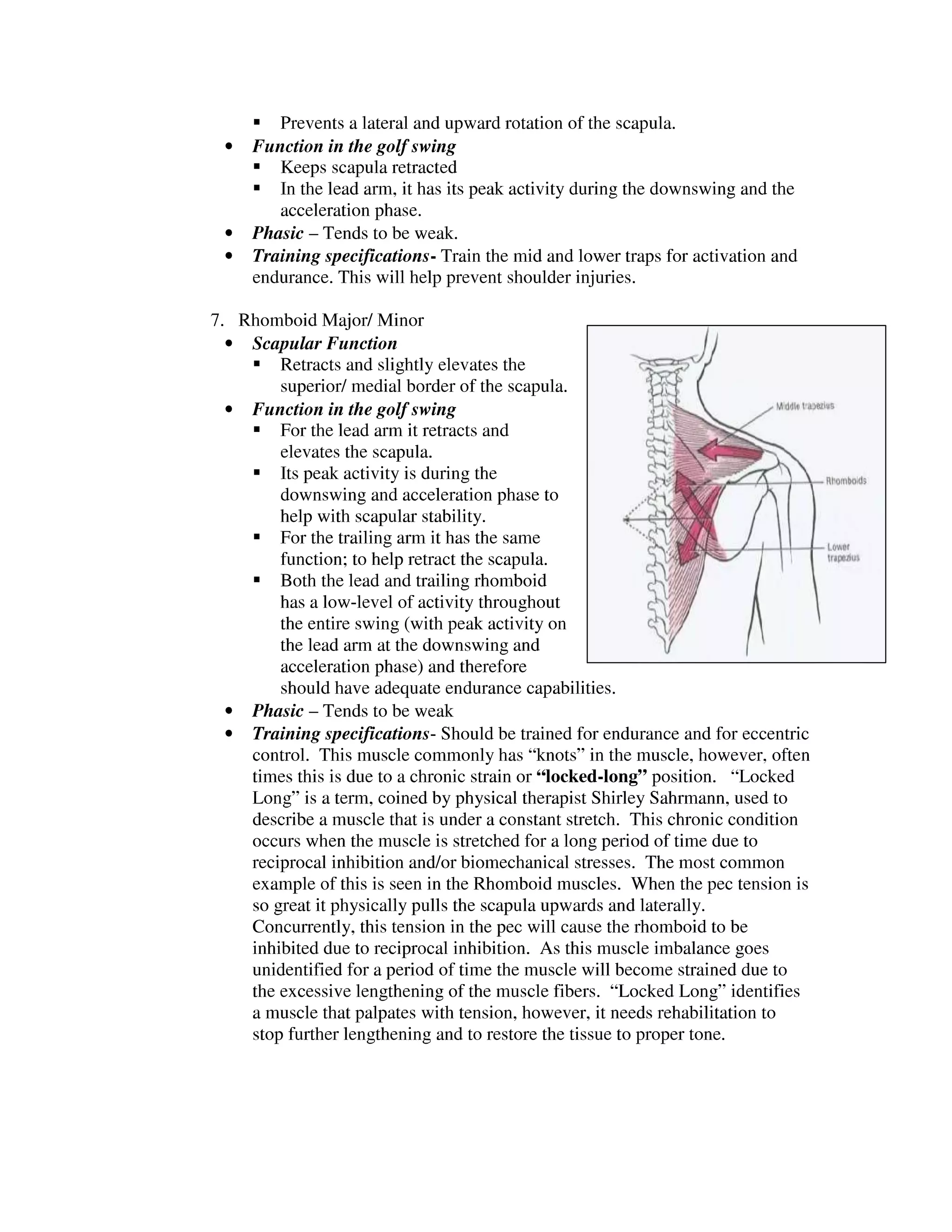 Anatomy of the Golf Swing for Trainers | PPTX
