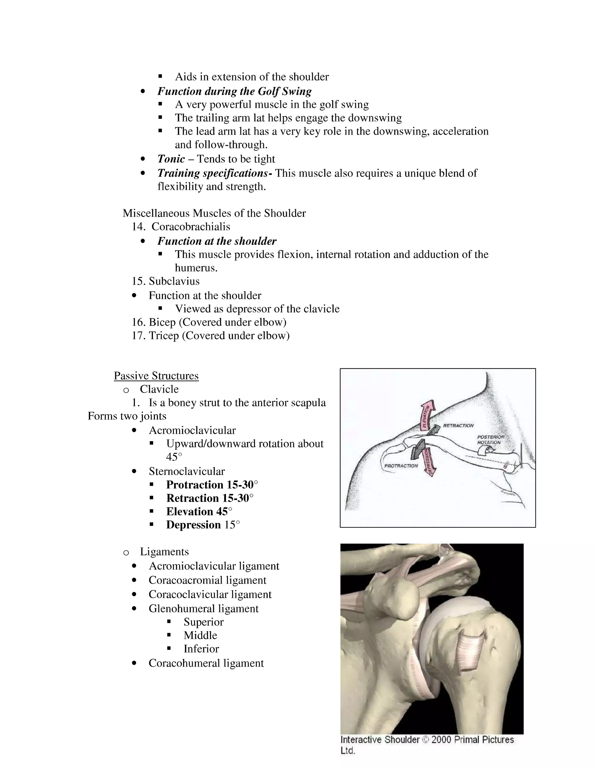 Anatomy of the Golf Swing for Trainers | PPTX