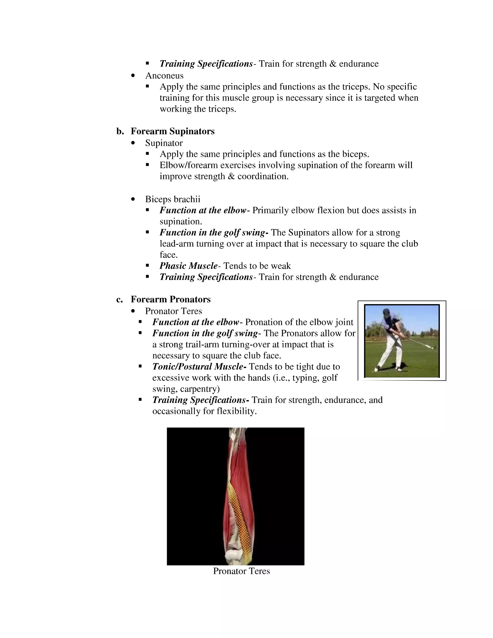 Anatomy of the Golf Swing for Trainers | PPTX