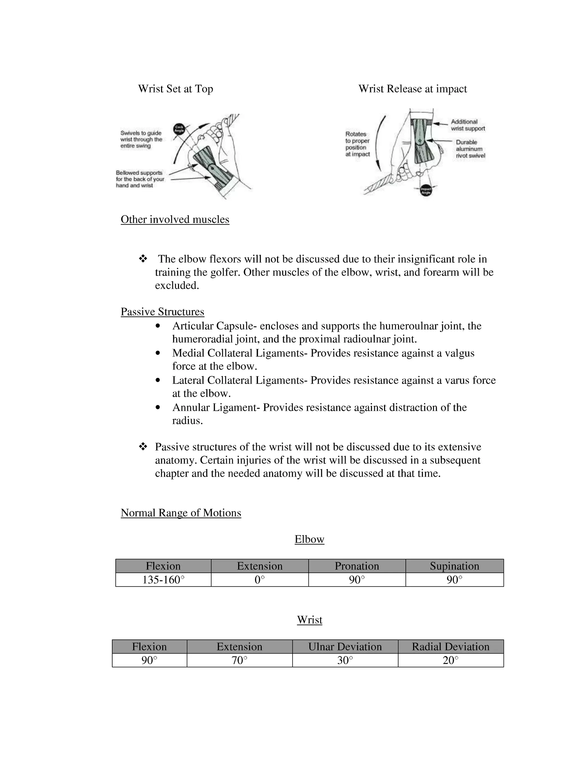 Anatomy of the Golf Swing for Trainers | PPTX