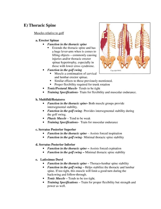 Anatomy of the Golf Swing for Trainers | PPTX