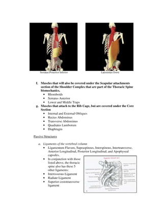 Anatomy of the Golf Swing for Trainers | PPTX