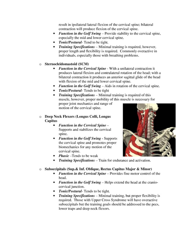 Anatomy of the Golf Swing for Trainers | PPTX