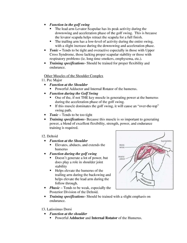 Anatomy of the Golf Swing for Trainers | PPTX