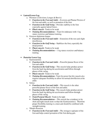 Anatomy of the Golf Swing for Trainers | PPTX