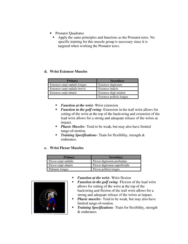 Anatomy of the Golf Swing for Trainers | PPTX