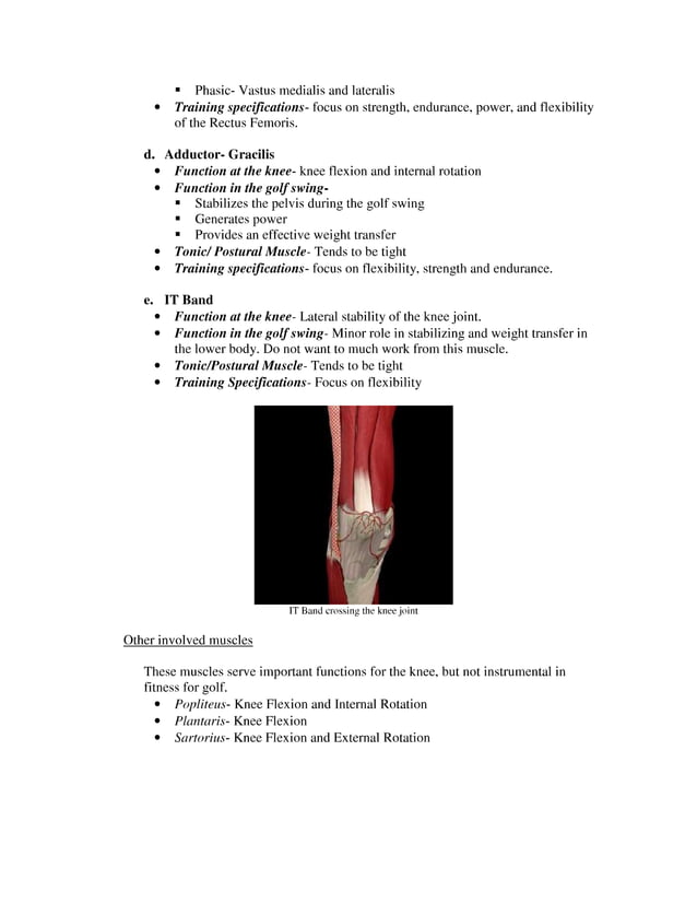 Anatomy of the Golf Swing for Trainers | PPTX