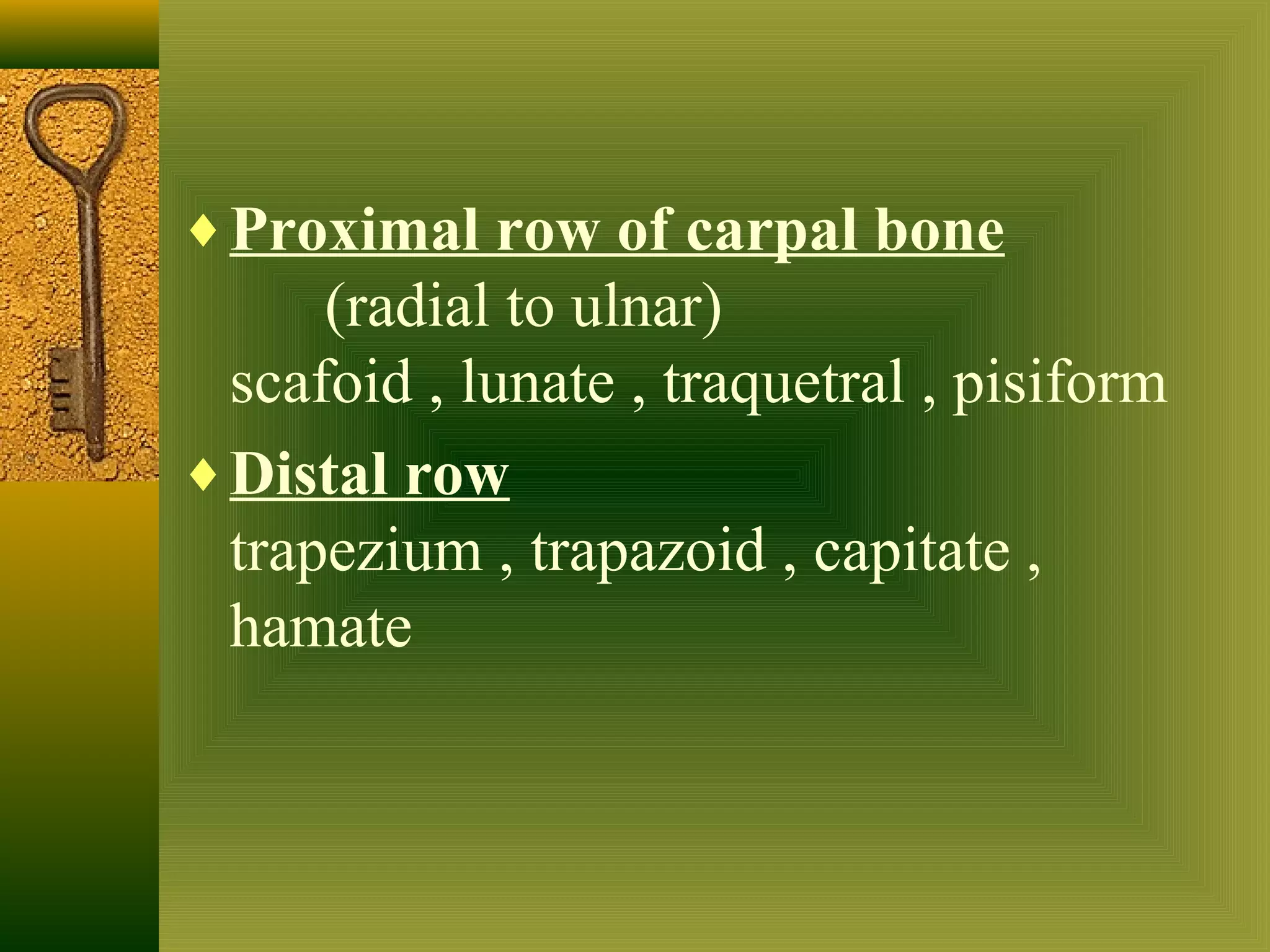 Anatomy of the hand | PPT