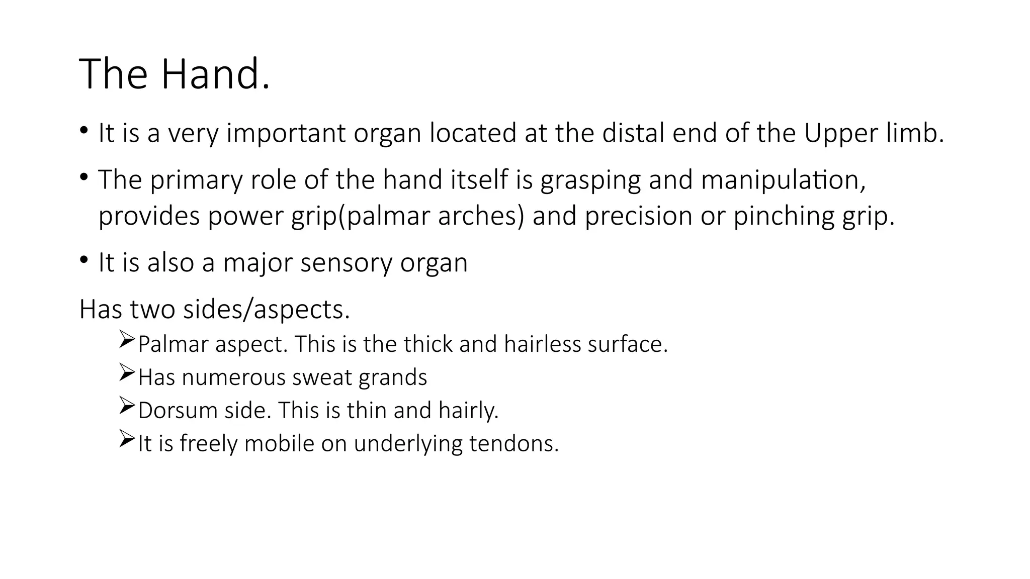 Anatomy of the Hand power point presentation.pptx