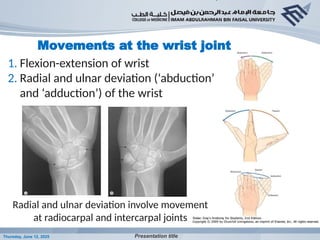 Anatomy lecture - Anatomy of the hand 2019 given by co-ordinator.pptx