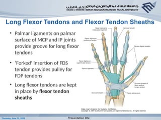 Anatomy lecture - Anatomy of the hand 2019 given by co-ordinator.pptx