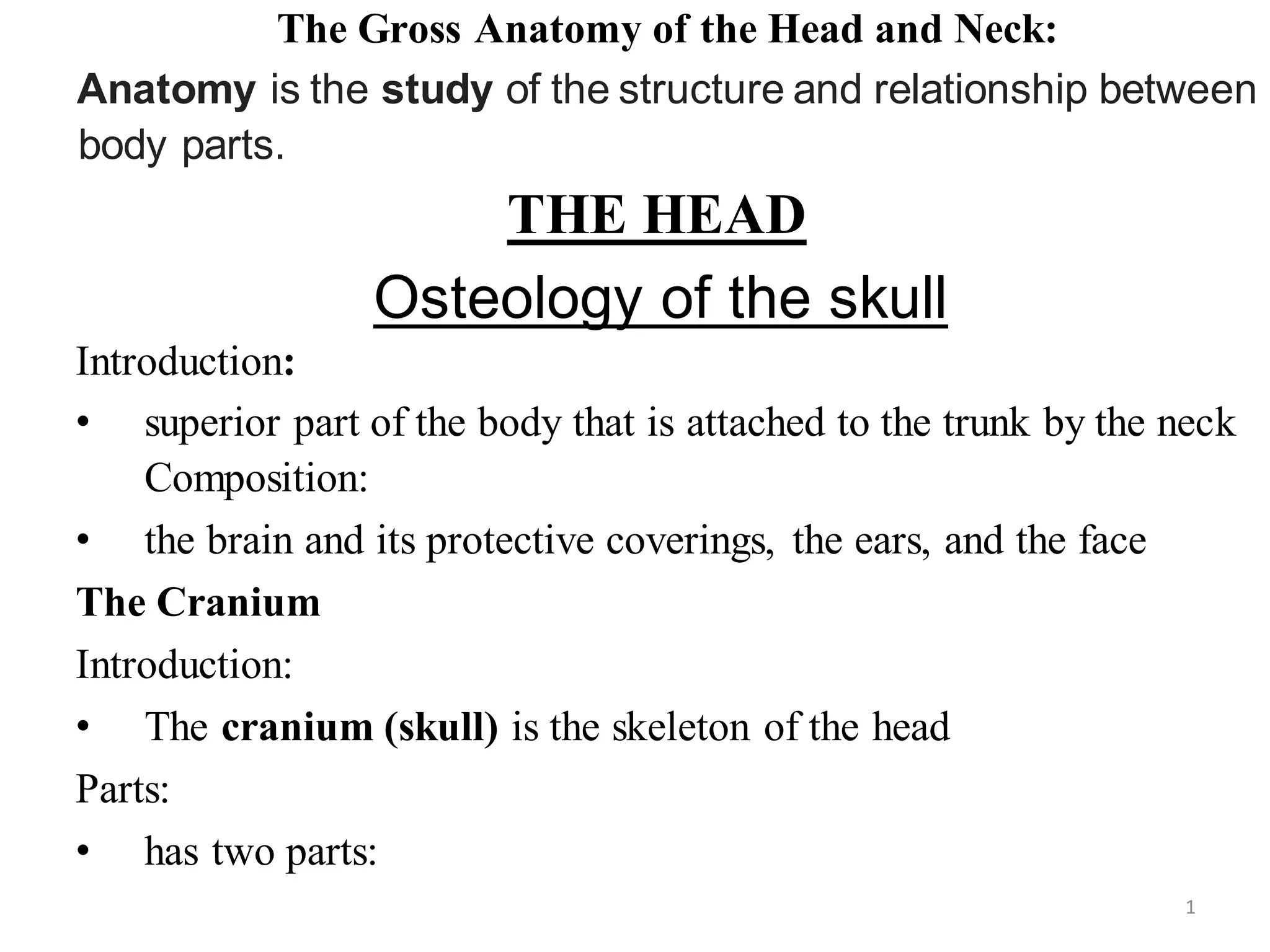 Anatomy of the head and neck | DOCX