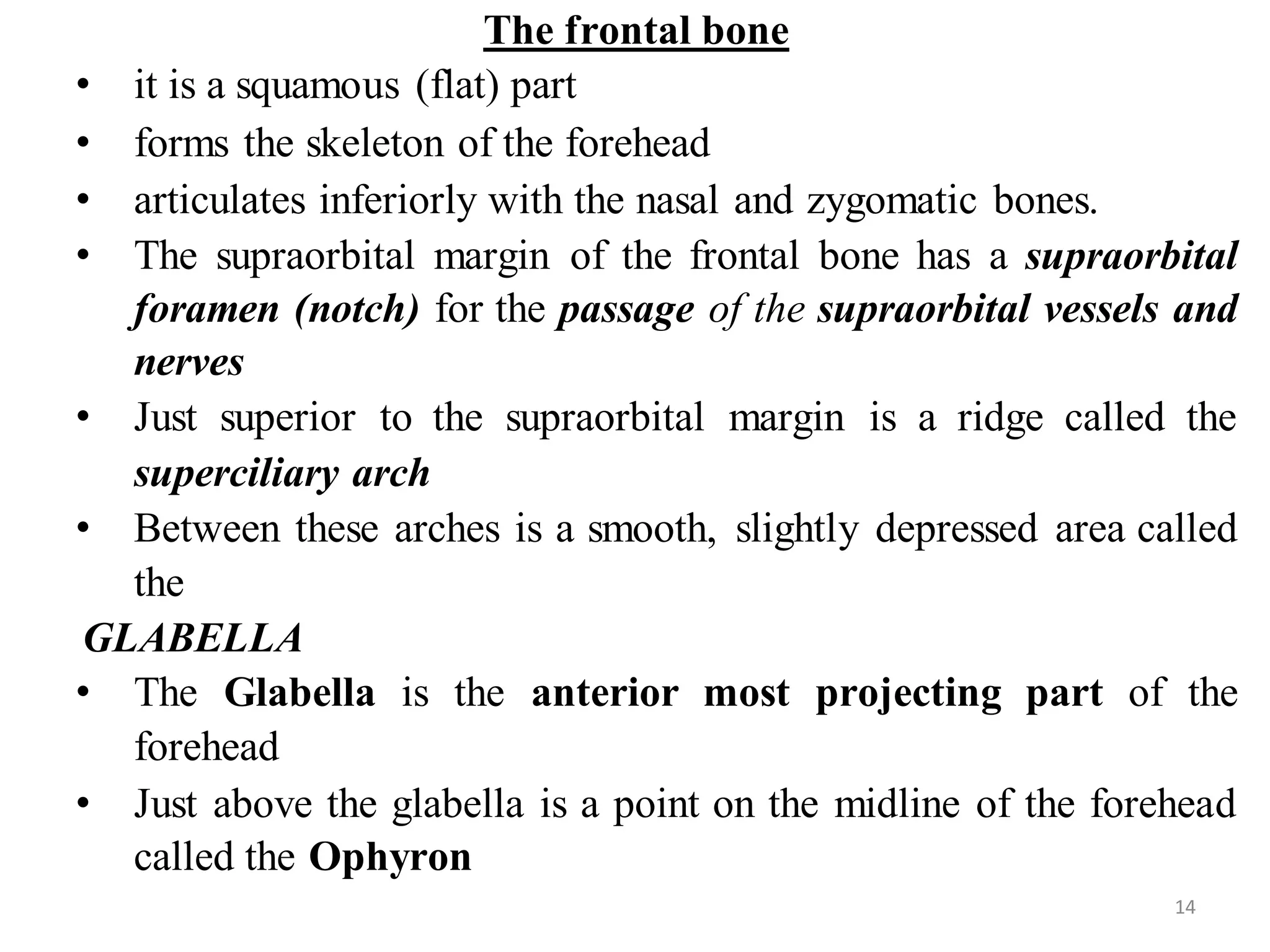 Anatomy of the head and neck | DOCX