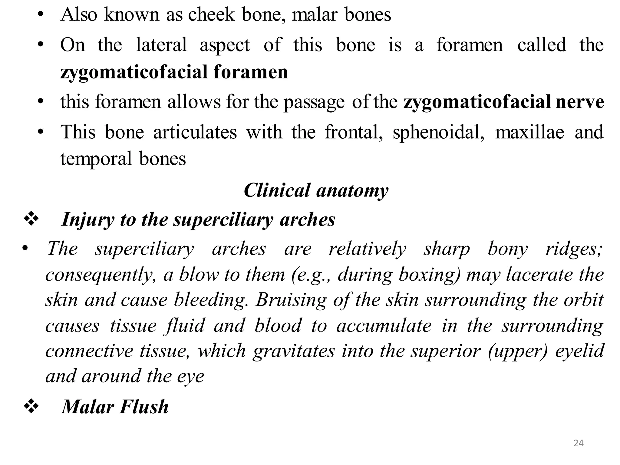 Anatomy of the head and neck | DOCX